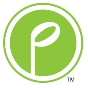 POCO Studio – MS WORKS Pte Ltd